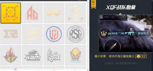 《和平精英》战队logo勋章怎样获得_玩一玩wywyx.com